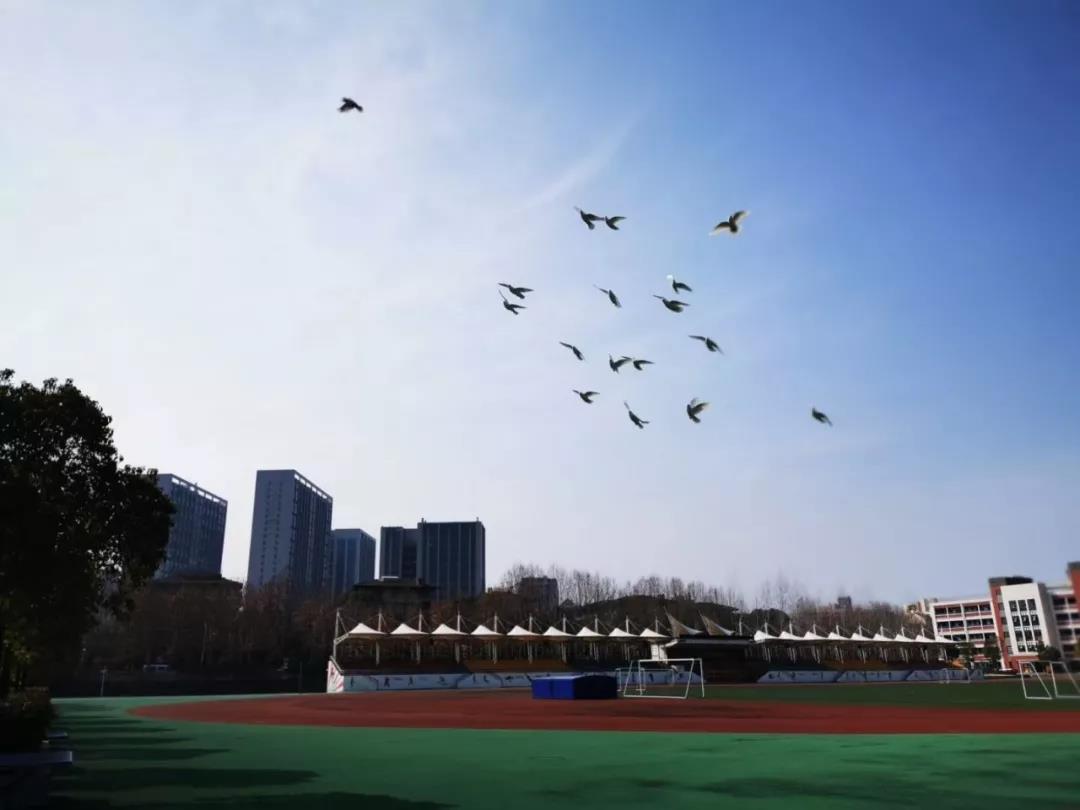 光谷实验中学2020年新生报到须知 - 武汉市光谷实验中学 - 武汉教育云